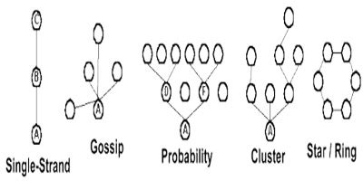 Image result for Single Strand Grapevine Communication