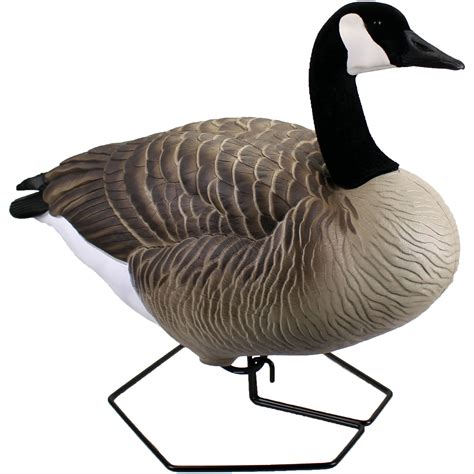 Image result for Goose Hunting Setups