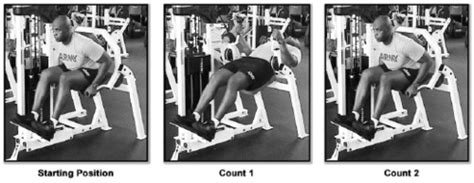Image result for Trunk Extension Exercises