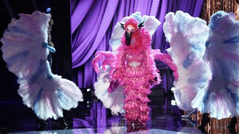 Image result for Flamingo Masked Singer Reveal