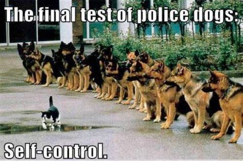 Self Control - Funny Images & Photos