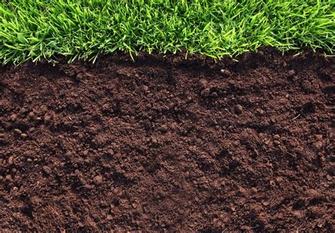 Image result for Humic Compounds