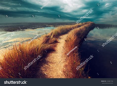 Image result for Unpredictable Future