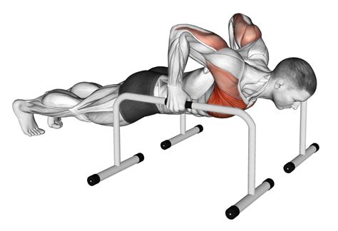 Image result for Using Push-Up Bars Easier