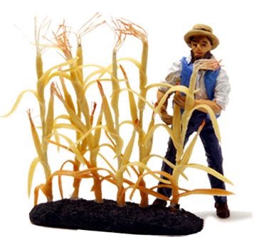 Image result for HO Scale Corn Stalks
