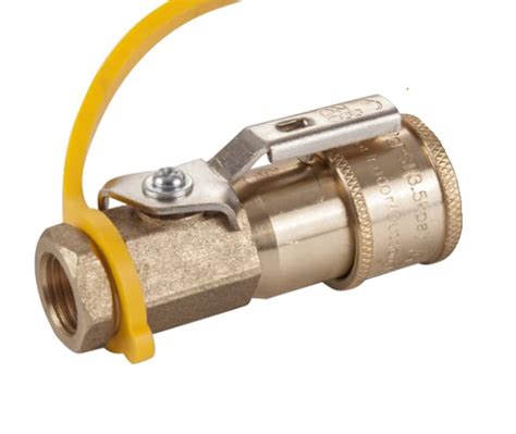 Image result for LP Gas Quick Connect