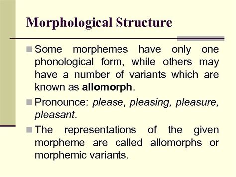 Image result for Example of Morphological