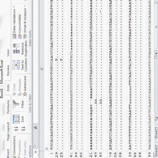 Image result for Convert Excel to Fasta Format