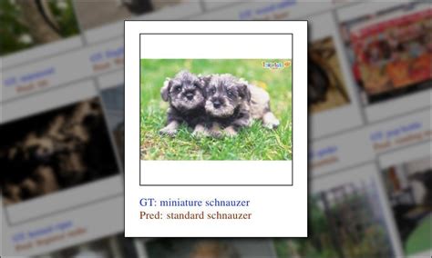 Image result for ImageNet Accuracy