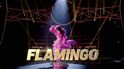 Image result for Flamingo Masked Singer Reveal