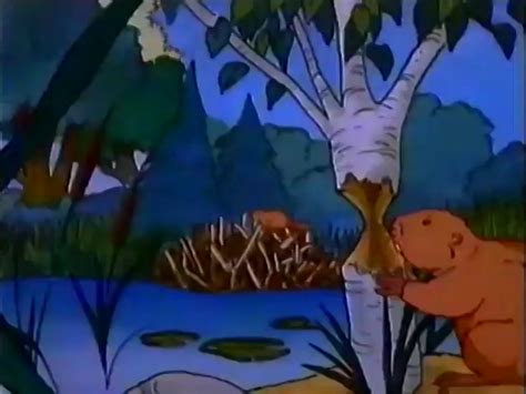 Image result for KidVision Real Animals