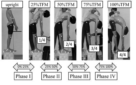 Image result for Dynamic Stretching of Hamstrings