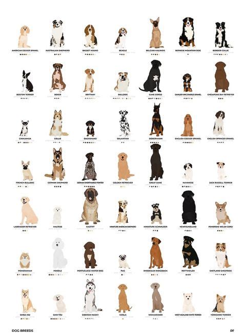 Image result for Normal Dog List