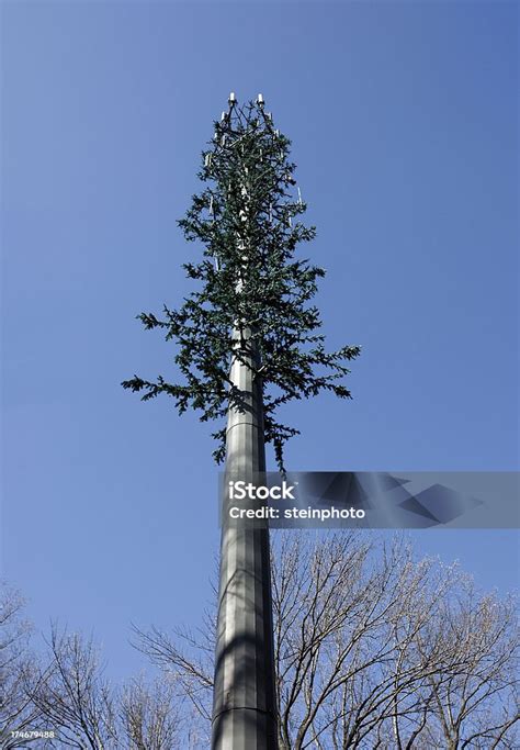 Image result for Fake Tree Cell Tower