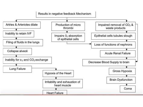 Image result for Distributive Shock