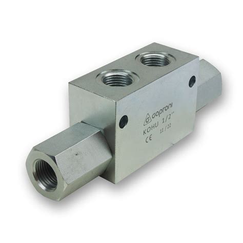 Image result for Inline Check Valve