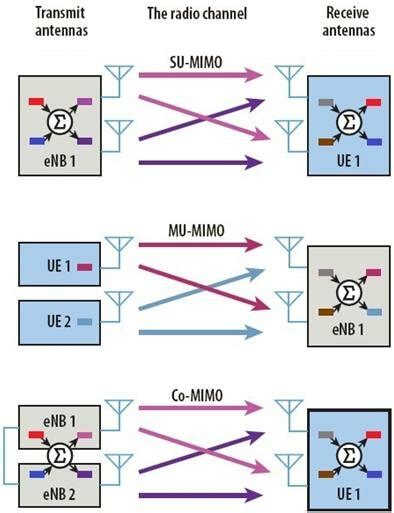 Image result for Finding Mimo