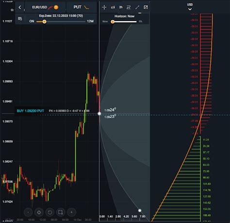 Image result for Buy Put Option Example