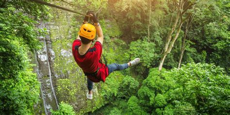 Image result for Zip Line Operator Dies Fall