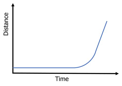 Image result for All Types of Motion Graphs