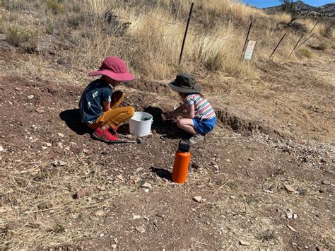 Image result for Fossil Digging