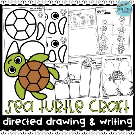Image result for Turtle Life Cycle Coloring Sheets