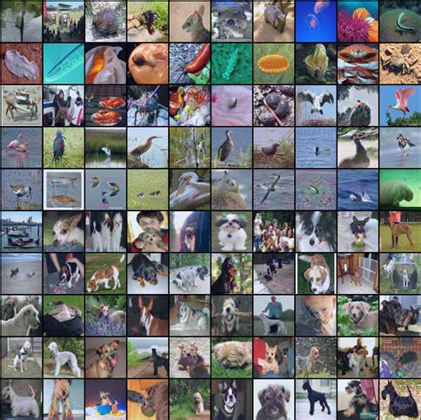 Image result for ImageNet Dataset