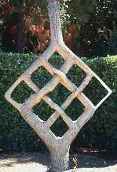 Image result for Tree Shaping Practices