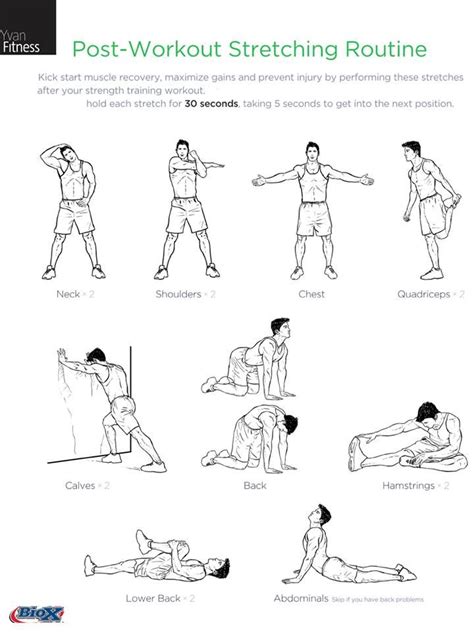 Image result for Pre-Workout Stretch Routine