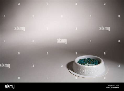 Image result for Mouse Pellets Poison