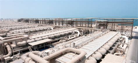 Image result for SWCC Extraction