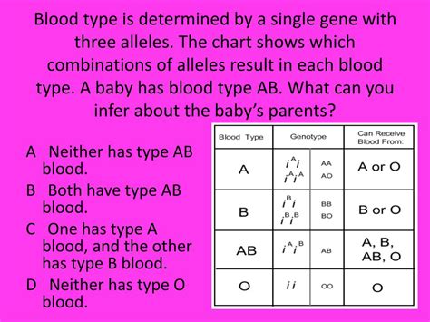 Image result for Genetics Practice Questions