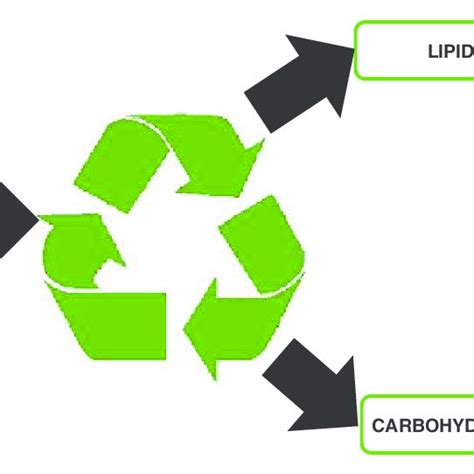 Image result for Food Waste Bioethanol
