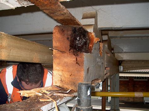 Image result for Splice Timber Repairs