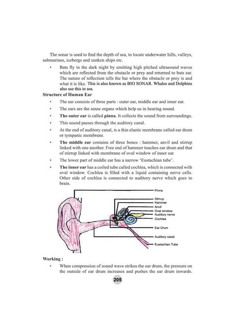 Image result for Class 9 Sound Notes