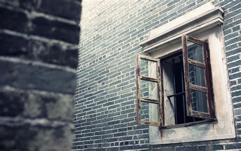 Image result for Window Pane