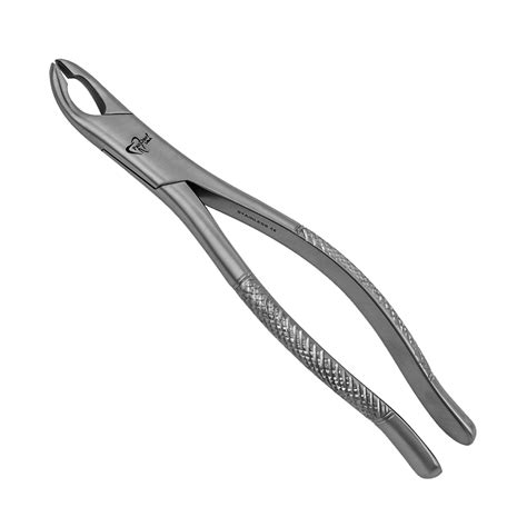Image result for Extraction Forceps