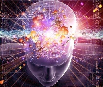 Image result for Human Brain Memory