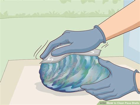 Image result for How to Polish Paua Shells