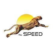 Image result for Speed Tutorials Indore Logo