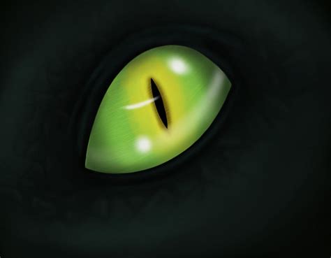 Image result for Toothless Eye Color