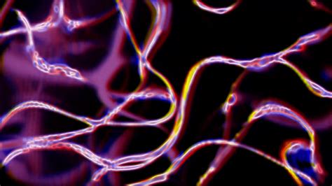 Image result for Dynamic Complexity Loop