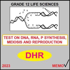 Image result for Grade 12 Life Science Evolution Test