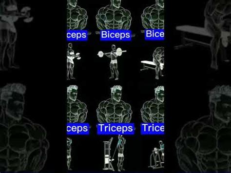 Image result for Bisect Workouts
