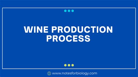 Image result for Wine Production Process