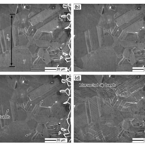 Image result for Deform 3D Microstructure