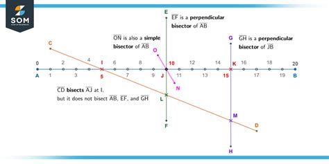 Image result for Define Bisect