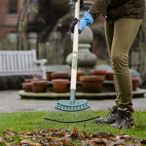 Image result for Springbok Rake