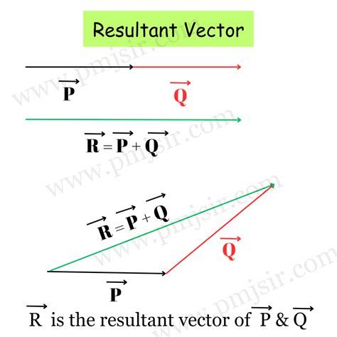 Image result for Vector Types