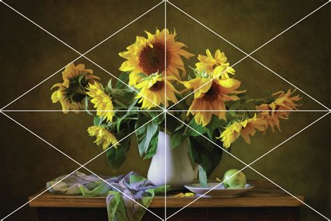 Image result for Visual Composition Examples